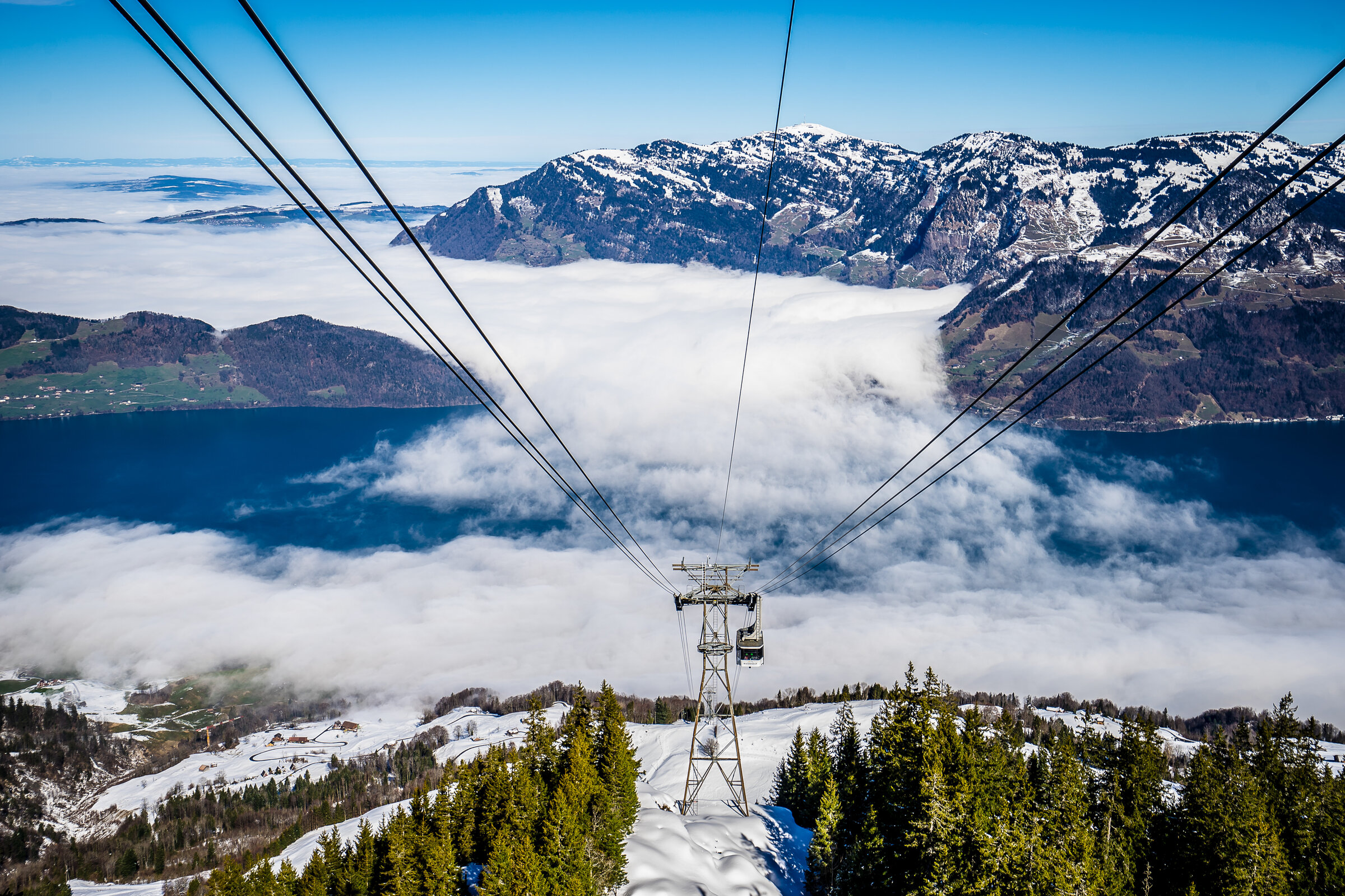 What's the Tell-Pass all about? | Tellpass